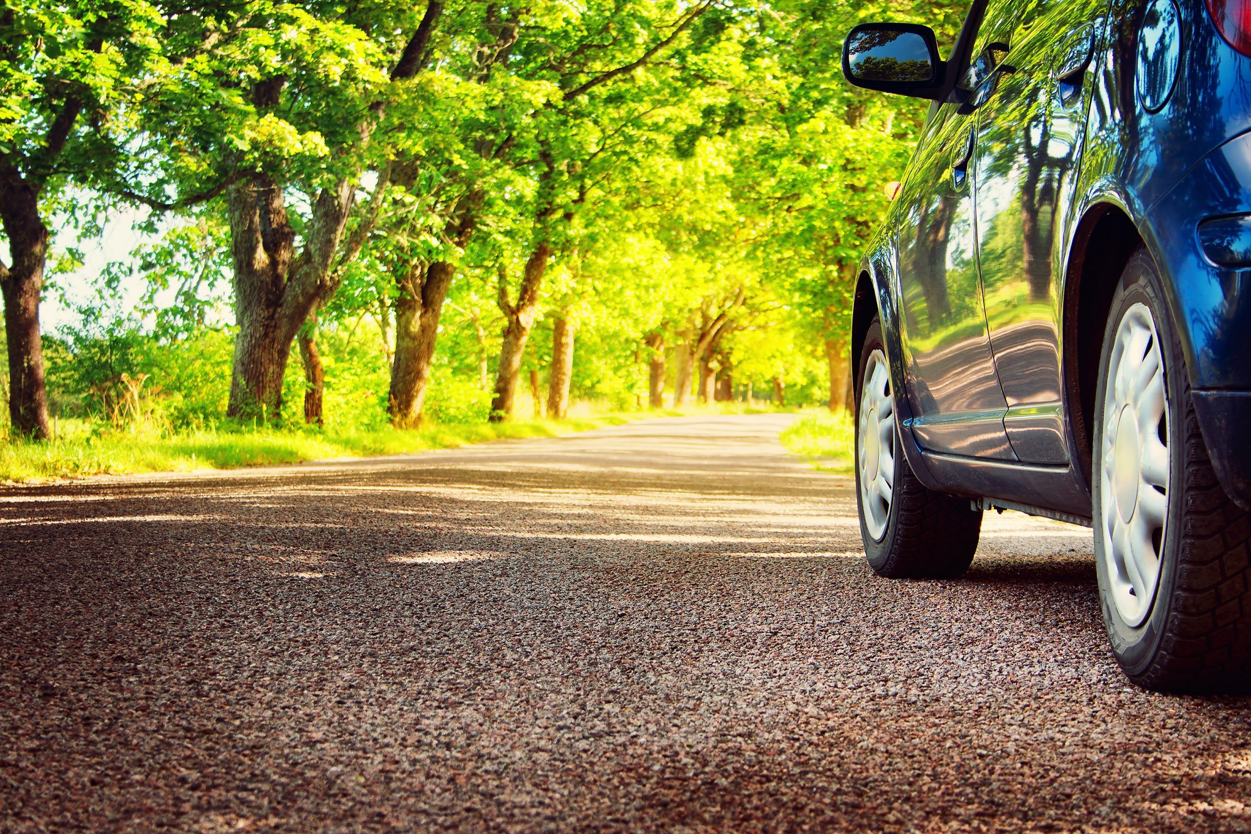 Spring Has Sprung: Advantage Fords Top 5 Tips for Spring Vehicle ...