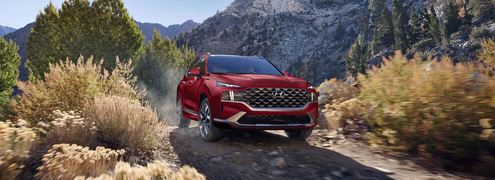 Shop New Hyundai Cars & SUVs in London Ontario from Finch Hyundai