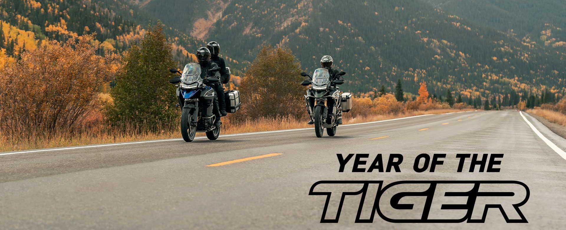 The Evolution of Triumph Motorcycles - Grande Prairie Motorsports