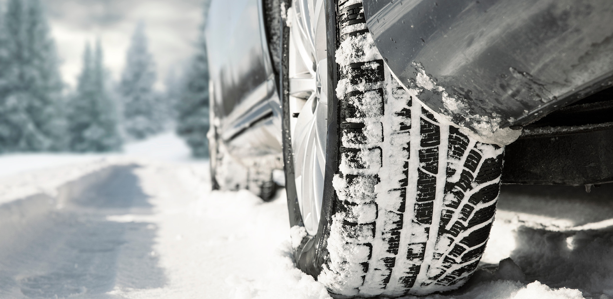 Winter Tires | Kamloops Kia in BC