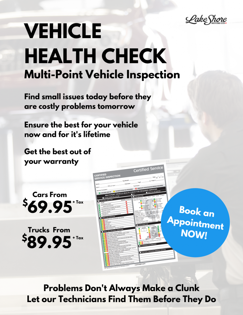 Vehicle Health Check | Lake Shore Motors Ltd. in Ontario