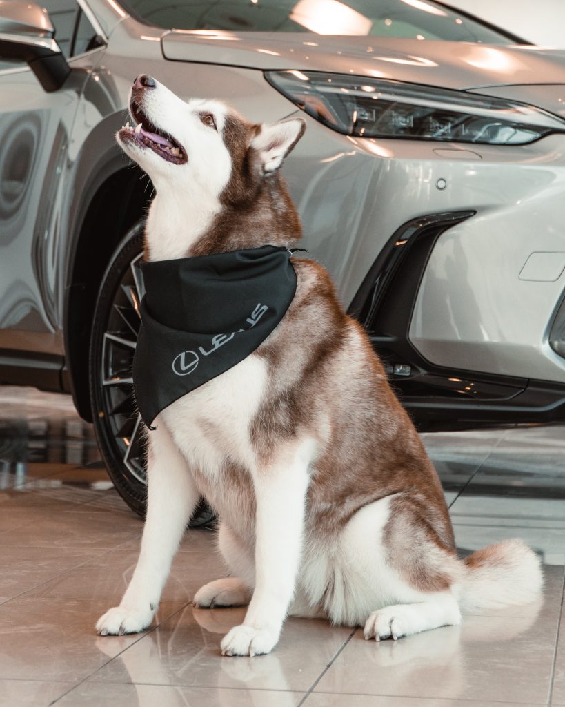 Lexus Boutique - Tony Graham Lexus