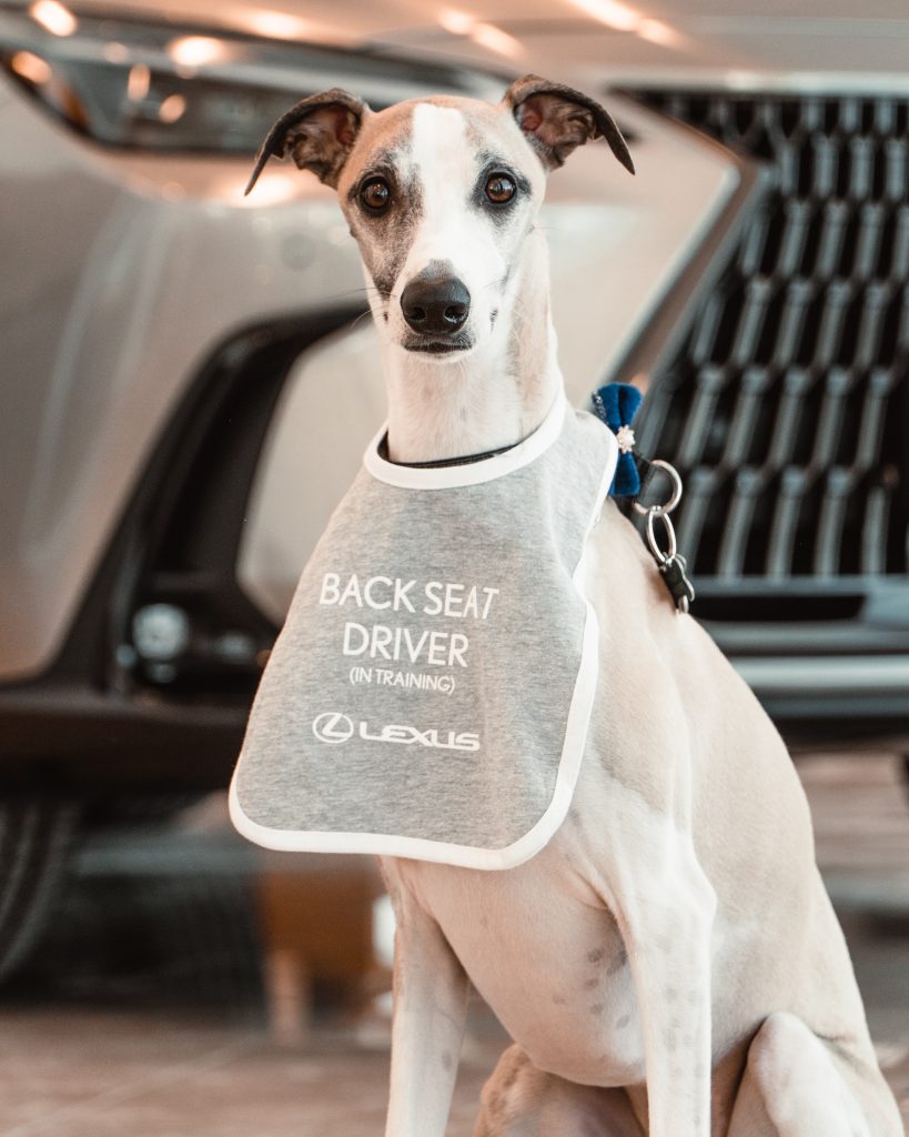 Lexus Boutique - Tony Graham Lexus