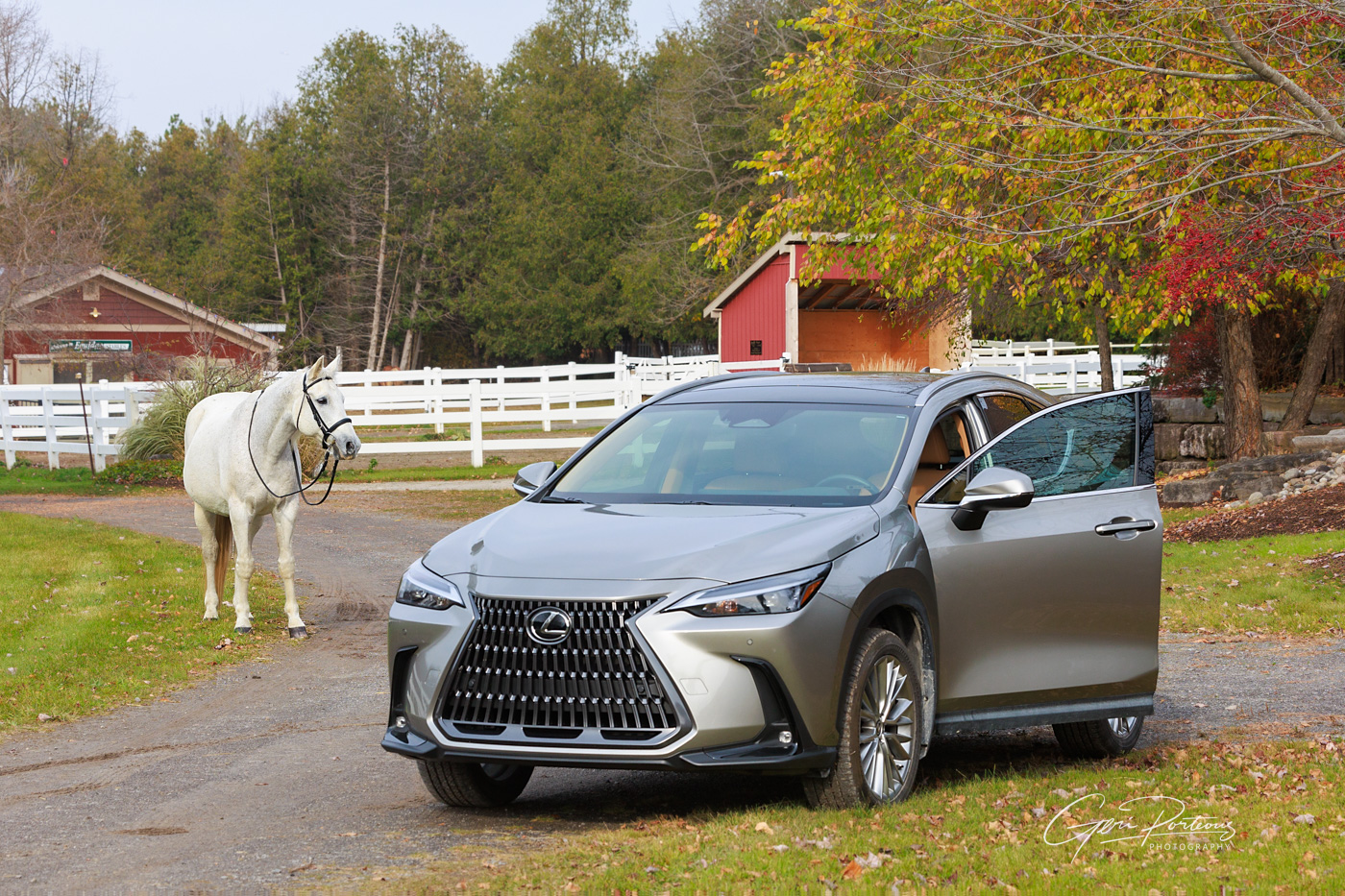 Tony Graham Lexus & TROtt Photoshoot - Tony Graham Lexus